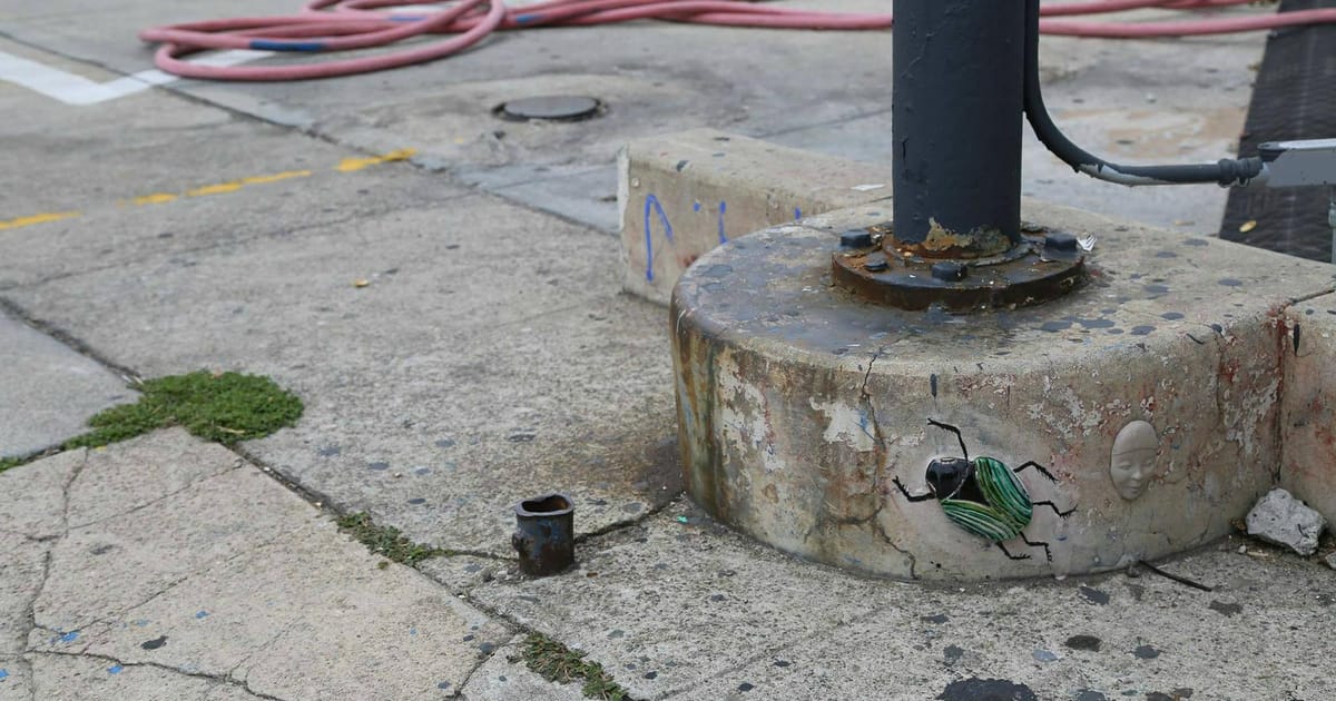 Addie Shrodes - Portland, Oregon, United States, Oregon Metro, PSU ...