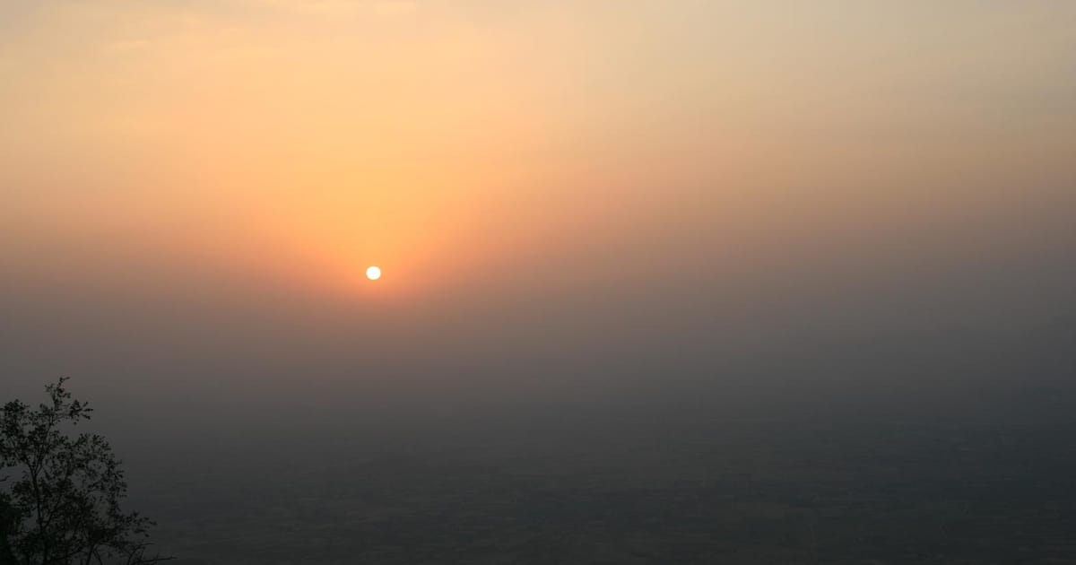 Adel Anwar | about.me