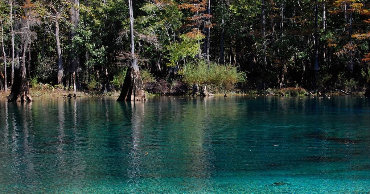 Clay Adkinson - DeFuniak Springs, Florida, Adkinson Law Firm, Florida ...