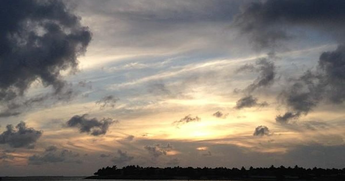 Alan Rappeport - Washington Dc, Usa, New York Times, London School of ...