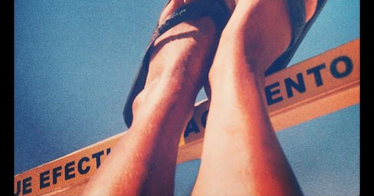 Alexandra Gil - lisboa, portugal, looking for the dream job, pet ...