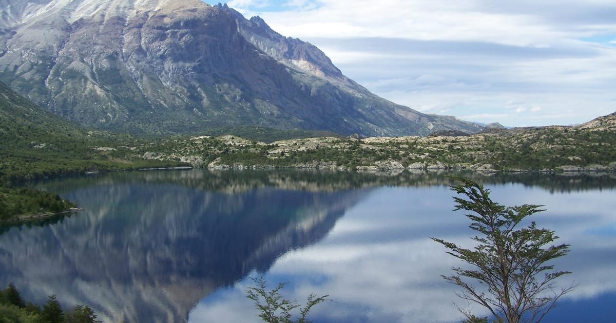 Alicia Morga | about.me