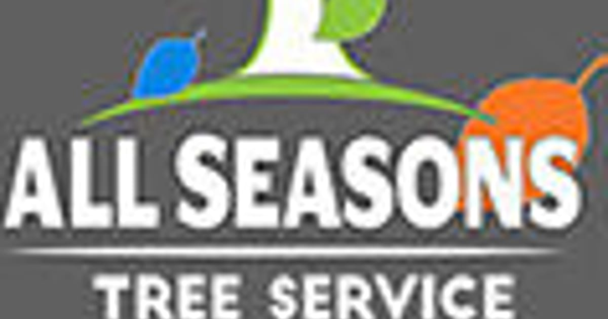 all seasons tree - usa | about.me