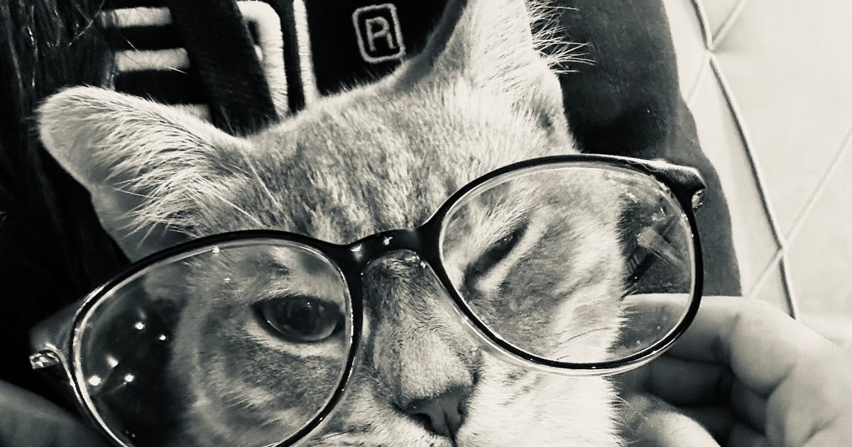 Jamilah Alqurshi - Riyadh | about.me