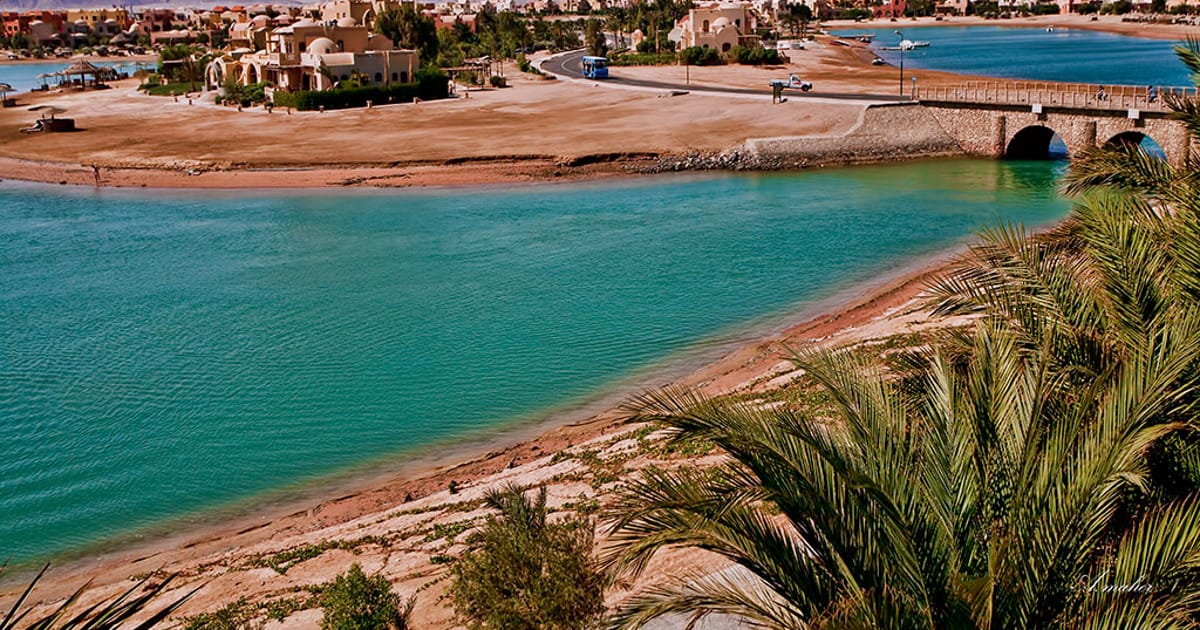 alshaimaa emam - egypt | about.me