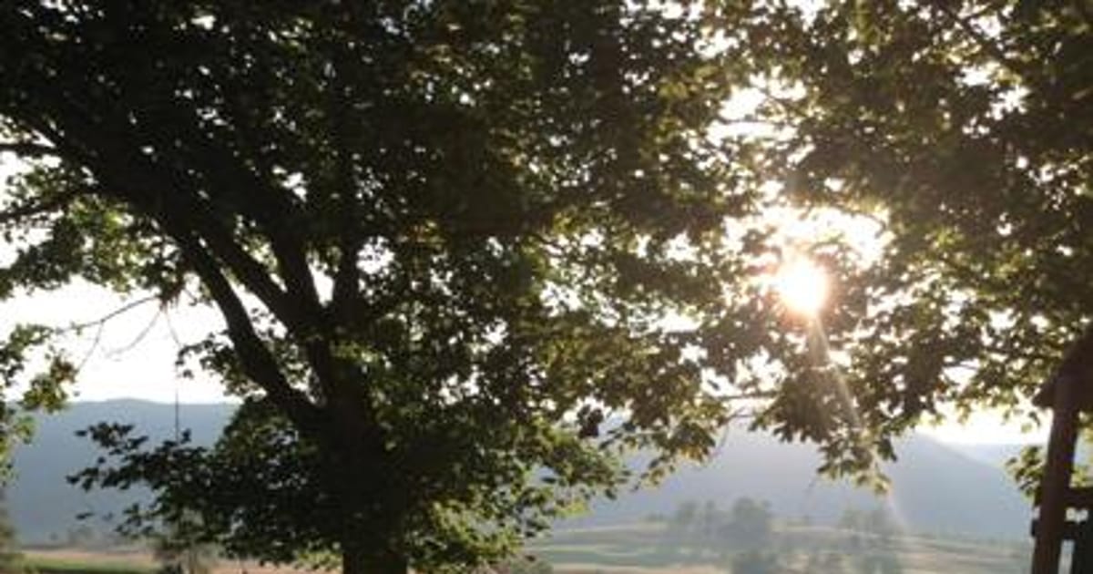 Amanda Spreen | about.me