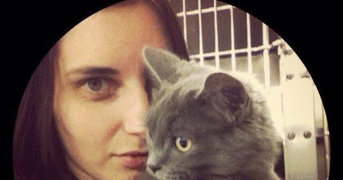 Amanda Factor - Bickford Park, Toronto, Social Media Consultant | about.me