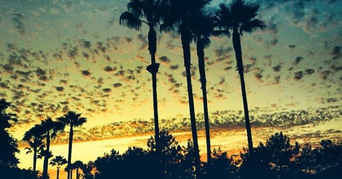 Amanda Wilbur - Riverside, California, Social Media Strategist, Digital ...
