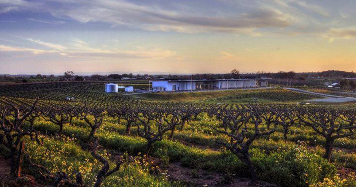 Andis Wines - Amador County, Plymouth, CA, Sierra Foothills | about.me