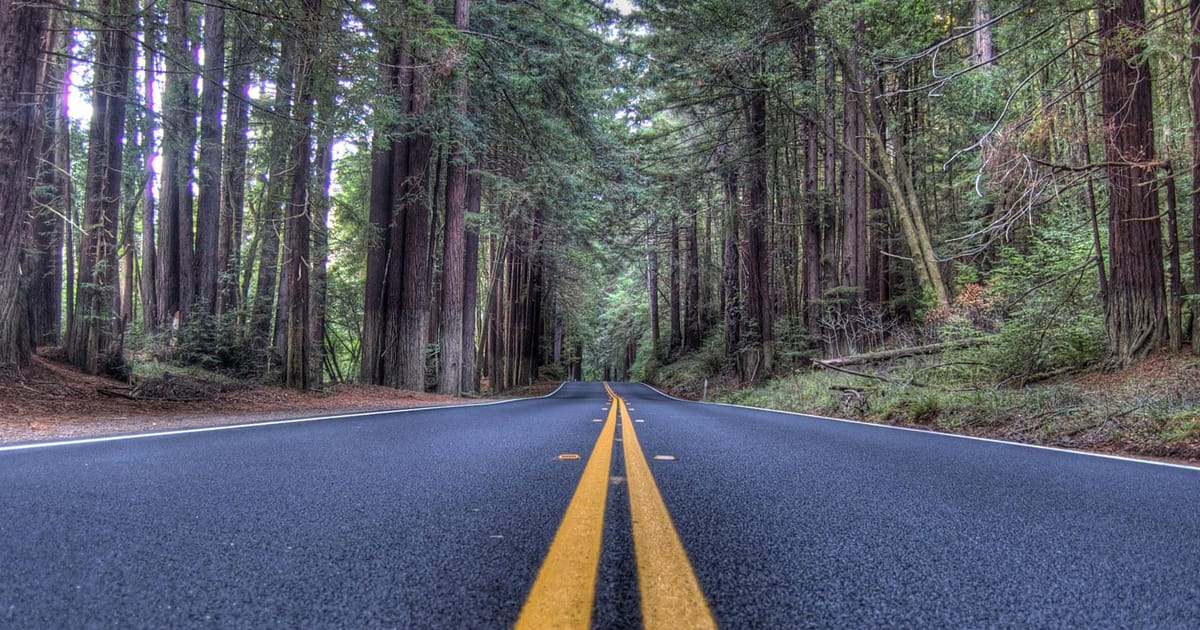 Andrea Cardelli - Firenze, Londra, Aperion.it, Upper Digital Ltd ...