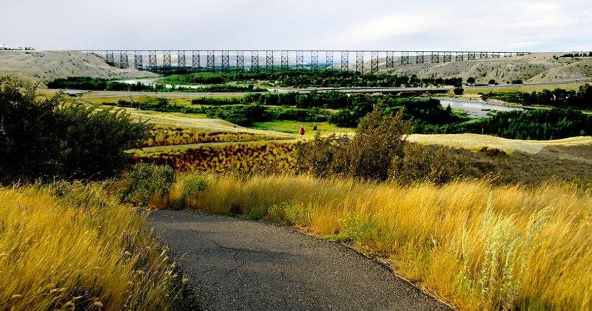 Andrew F. Witzke - Toronto, Ontario, Lethbridge, Alberta (Hometown), A ...