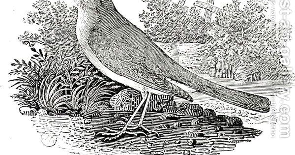 Andrew Green | about.me