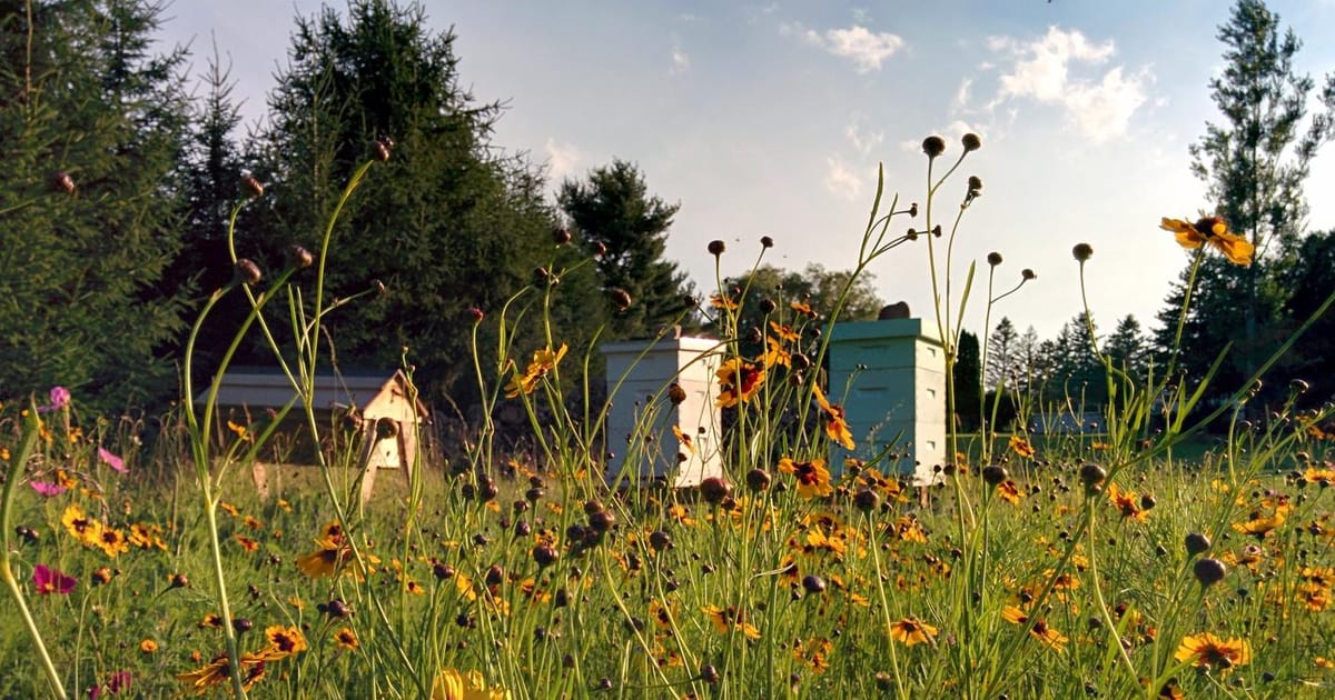 Andrew Pepper | about.me