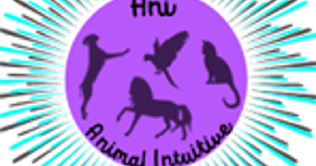 ANI Animal Intuitive - United State, ANI Animal Intuitive | about.me