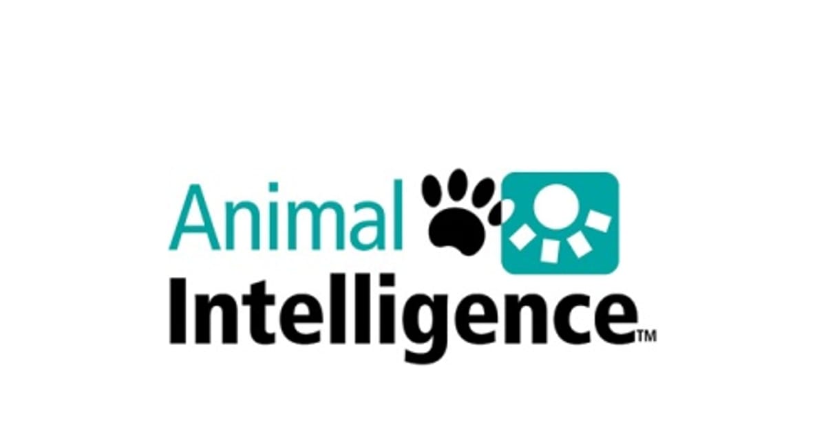 Animal Intelligence - Washington, USA | about.me