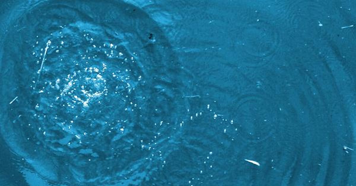 Anna Cow - My private pasture, Storyteller, Musician, Painter, I almost ...