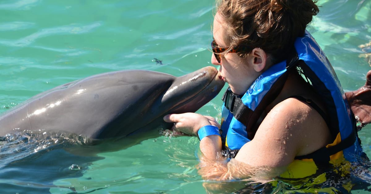 Anna Ruhl | about.me