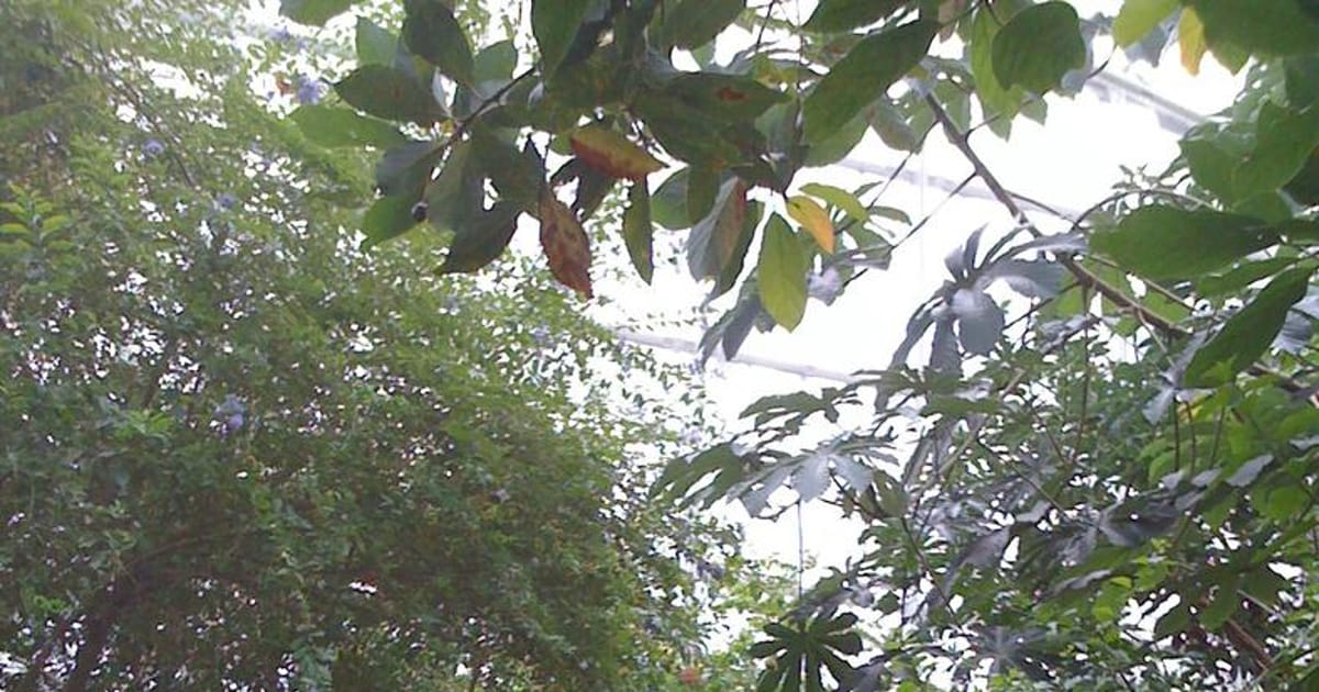 Annette Licitra - Alexandria, Virginia, American Federation of Teachers ...