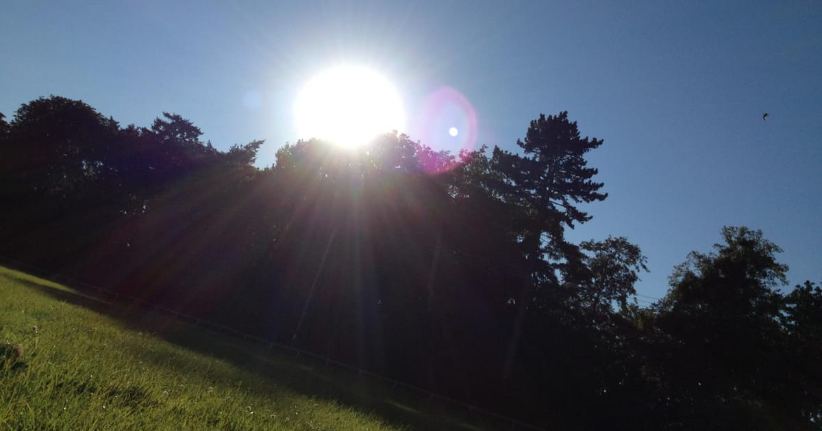 Antony Adams - Pershore, Worcestershire, Warwickshire College, BSc ...