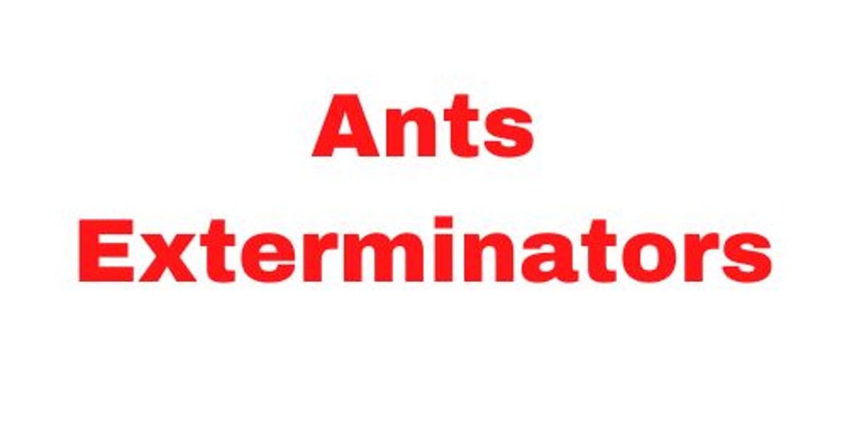 Ants Exterminators - Seattle, Washington | about.me