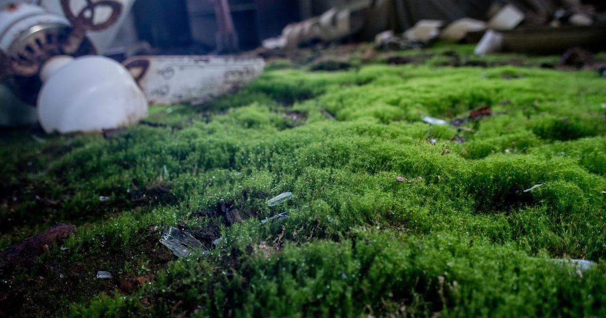 Brandon "Archie " Shrader - Columbus, Ohio, United States | about.me