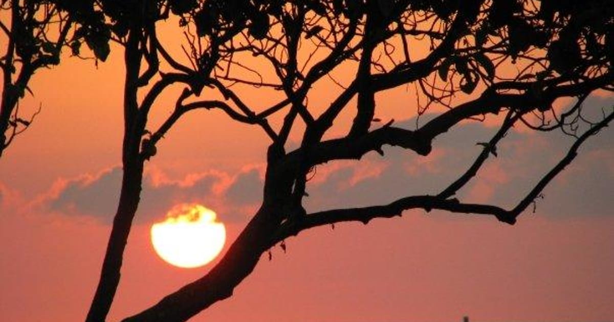 Ariel Ricker | about.me