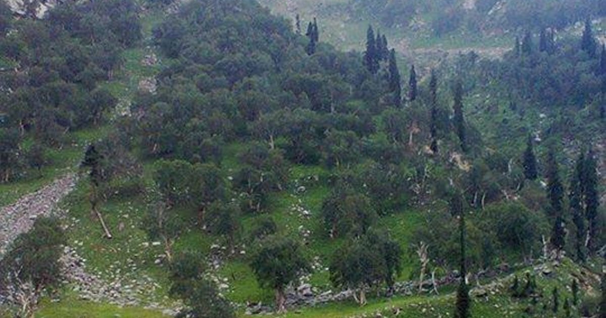 Ashfaq Sarwar Awan - Lahore, Pakistan, Janwai, Azad Kashmir, Pakistan, Accountancy Outsourcing ...