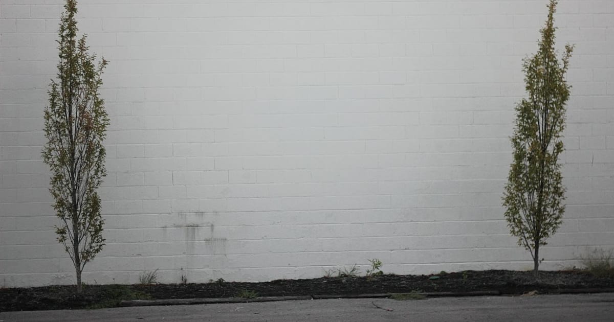 Ashley Spradlin - Wilmore Kentucky | about.me