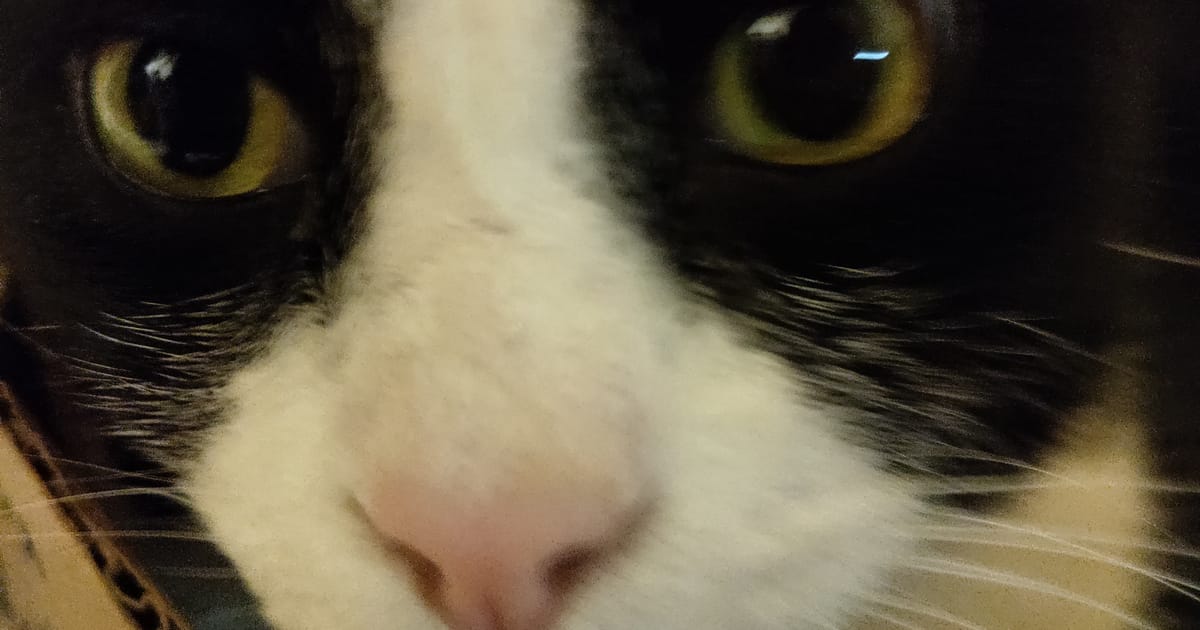 Ashton Christian - Kansas | about.me