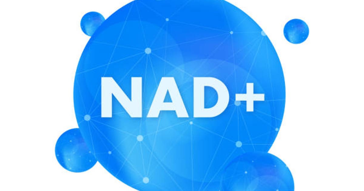 Aurora Synth - USA | about.me