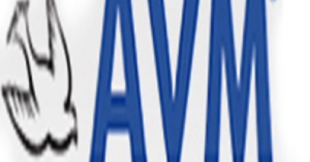 AVM Enterprises, Inc. - Chattanooga, Tennessee 37421 | about.me