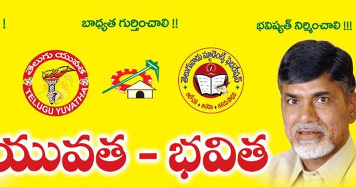 tdp party