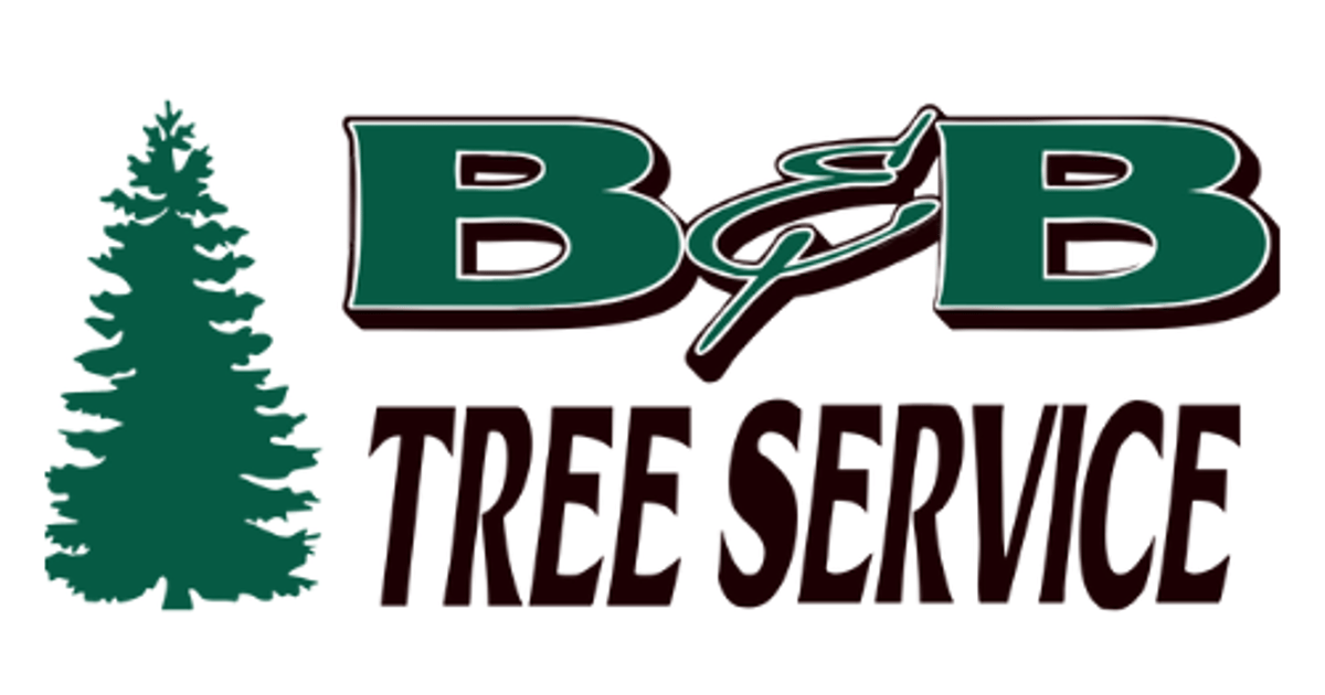 B&B Tree Services - 831 Charlotte Hwy,Fairview,North Carolina, 28730 | about.me
