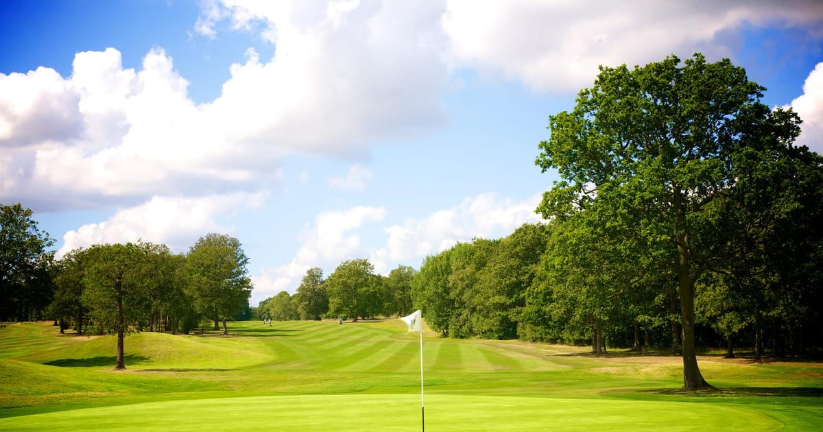Ben Beagley - Surrey, England, www.driftgolfclub.com, Merrist Wood ...