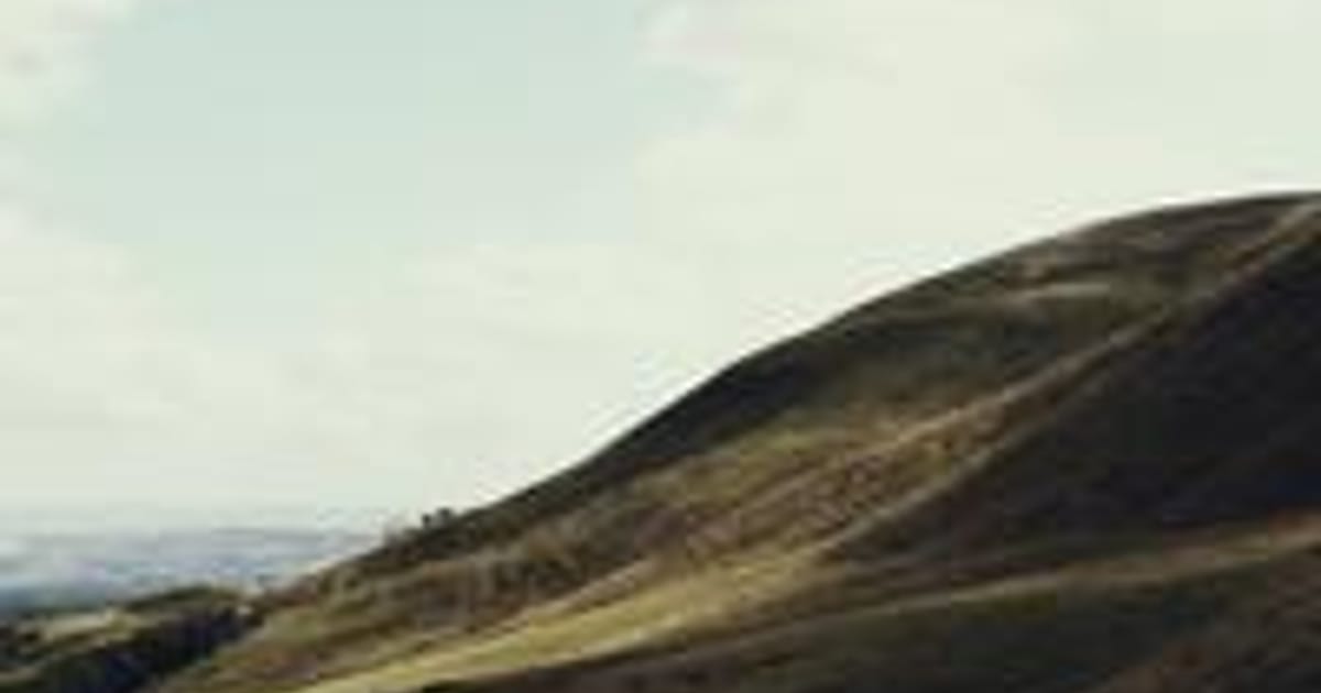 Bird Willis - 90025 | about.me