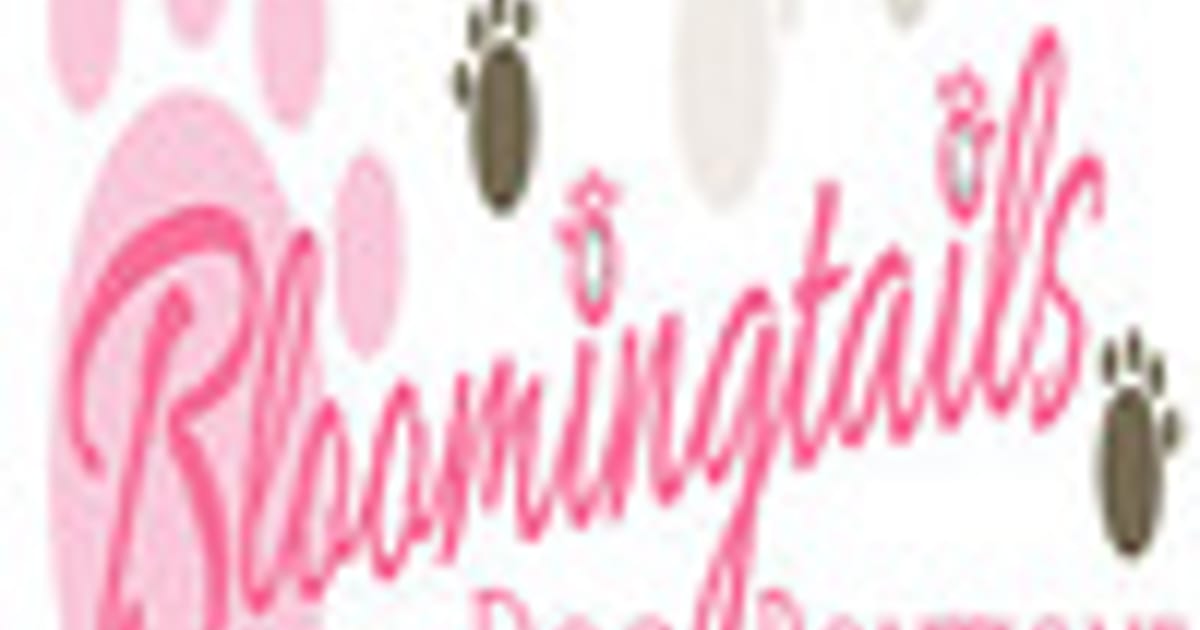 Bloomingtails DogBoutique - Amsterdam, New York 12010 | about.me