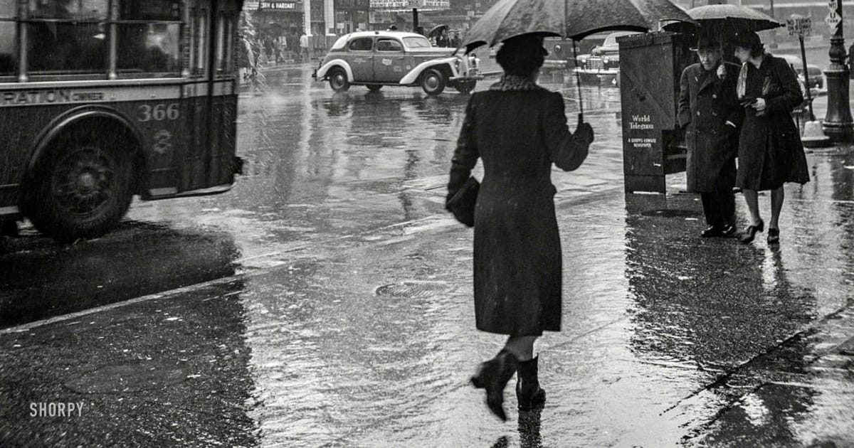 Peter Boctor - Seattle & San Francisco, Skedadel | about.me