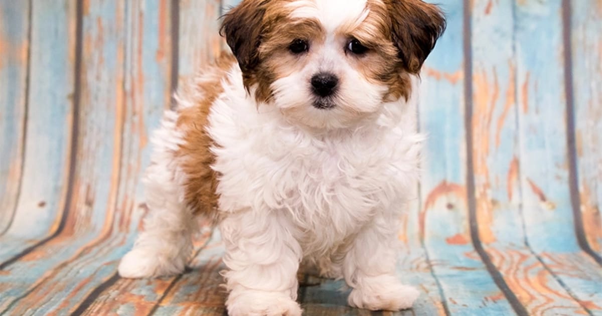 Brad Blosser - 10069 County Road 16 | about.me