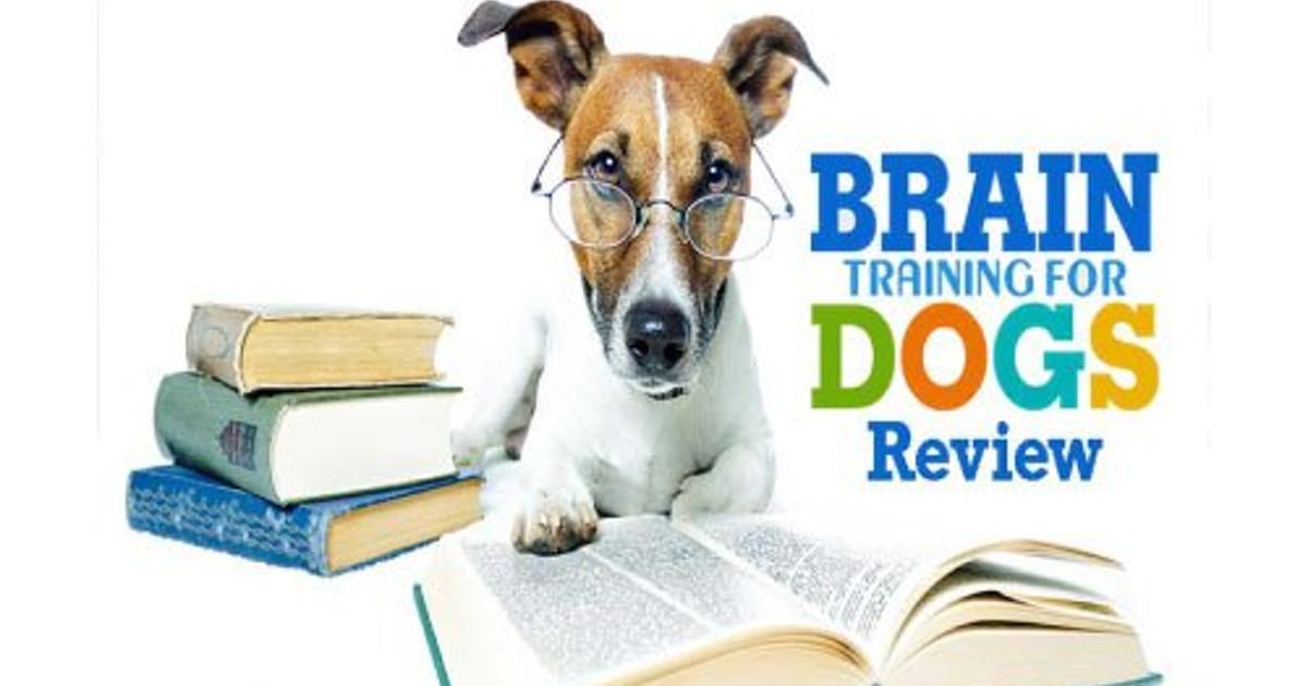 Brain Training For Dogs - united states | about.me
