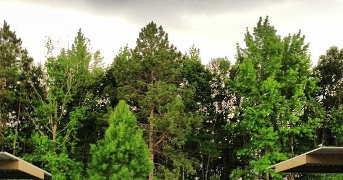 Brandon R. Harris - Columbia, MD, Pursuing a degree in Computer Science ...