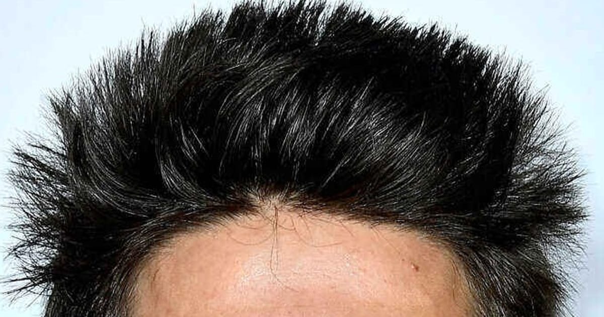 Brent Rivera Merch - New York | about.me