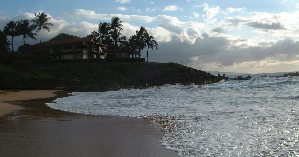 Brett Matossian - Phoenix, Arizona, Bachelors, Business Management ...