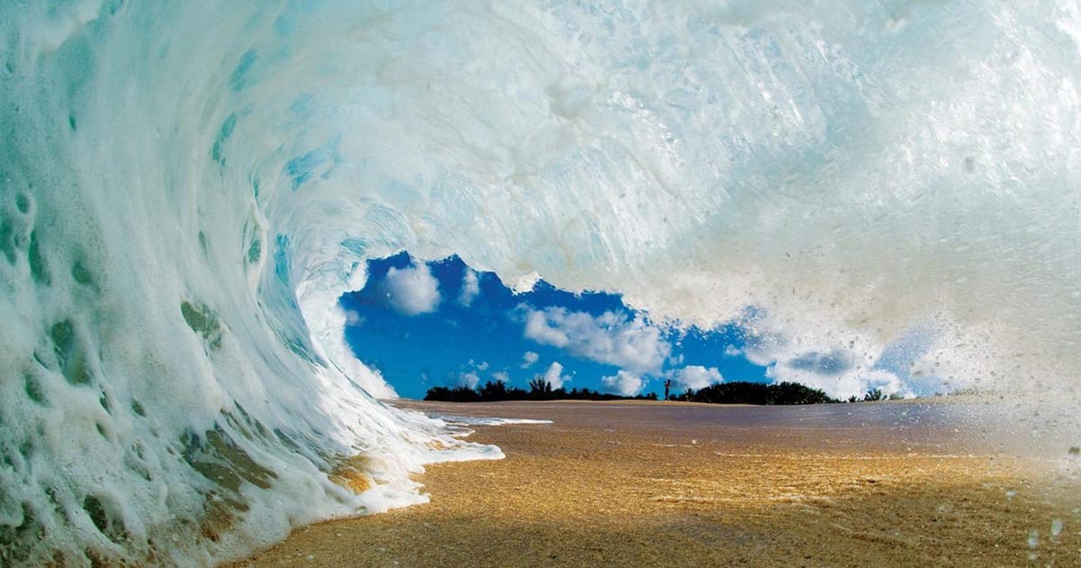 Ana Brkan - Brisbane, Qld, Australia, Bachelor Of Laws | about.me