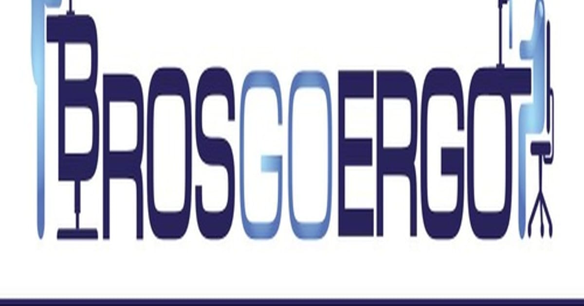 Bros Go Ergo | about.me