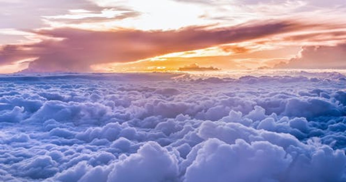 Bruce Steele - uk | about.me