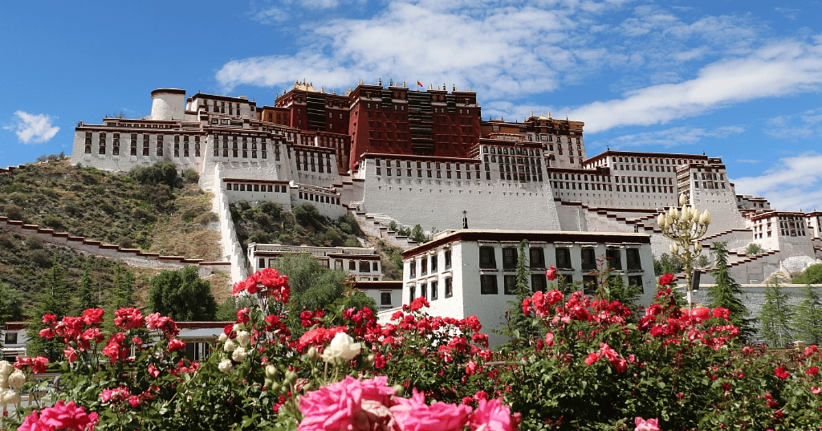 merry huang - Tibet | about.me