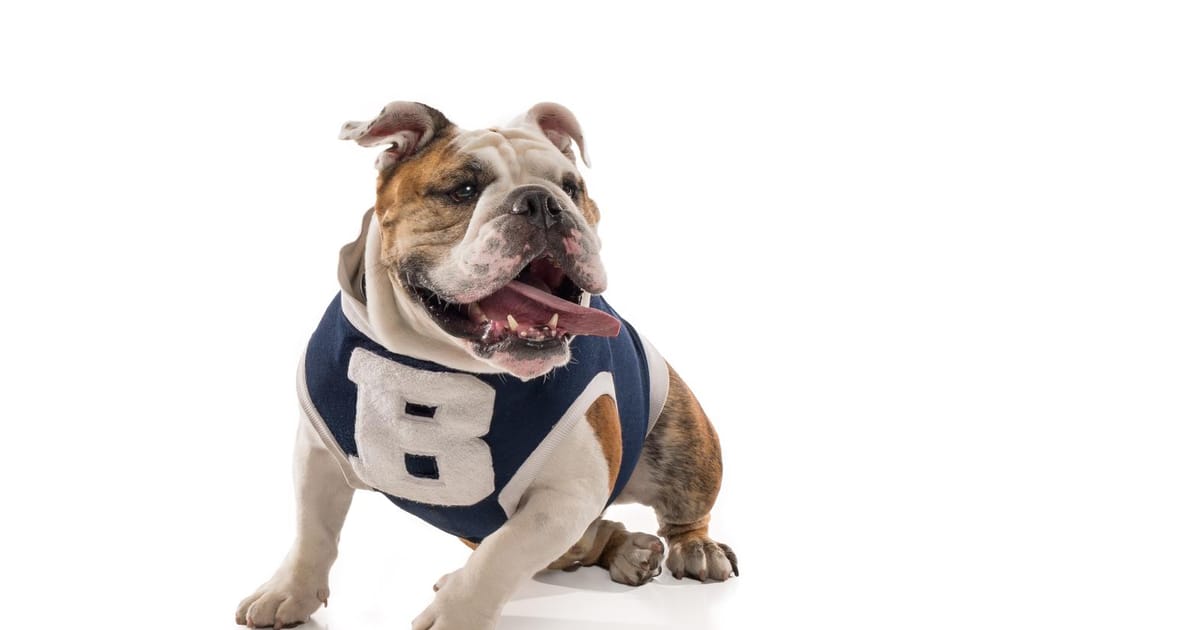 Butler Blue III | about.me