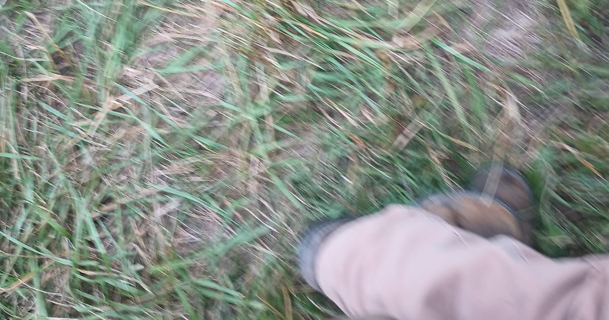 Caleb Cash - Fuquay-Varina | about.me