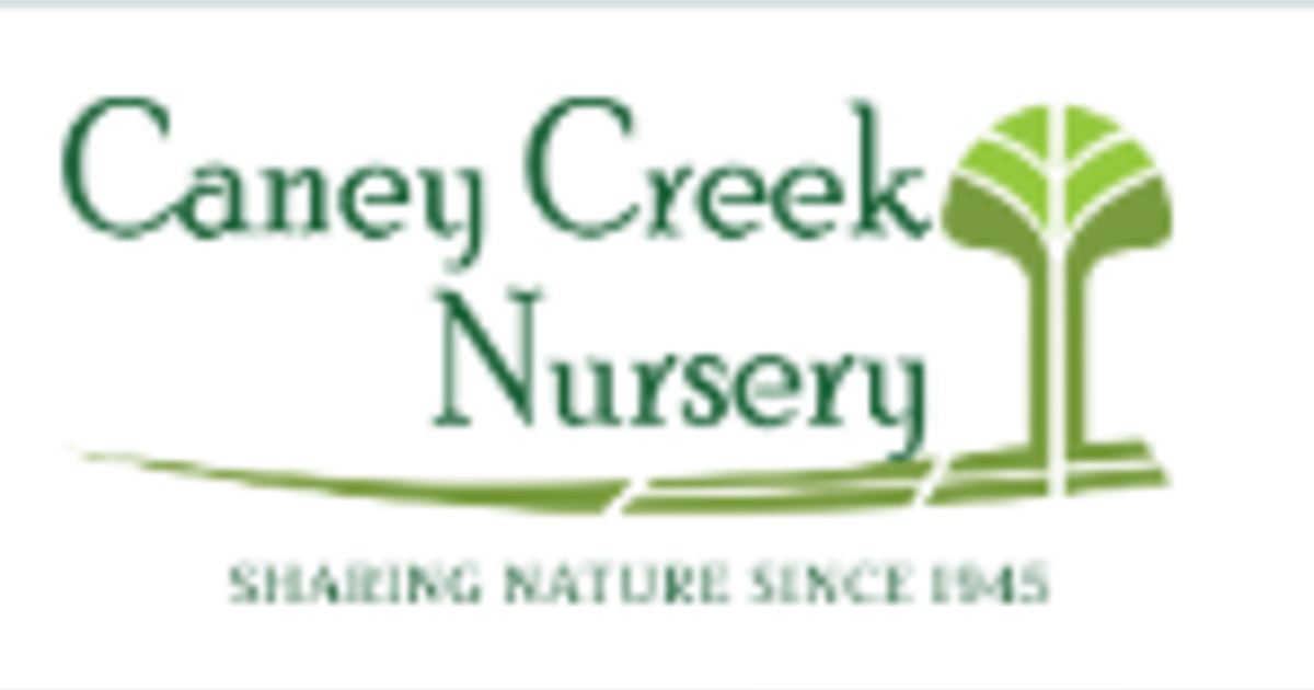 camilla noah - 281 Caney Creek RD Rockwood, TN 37854 | about.me