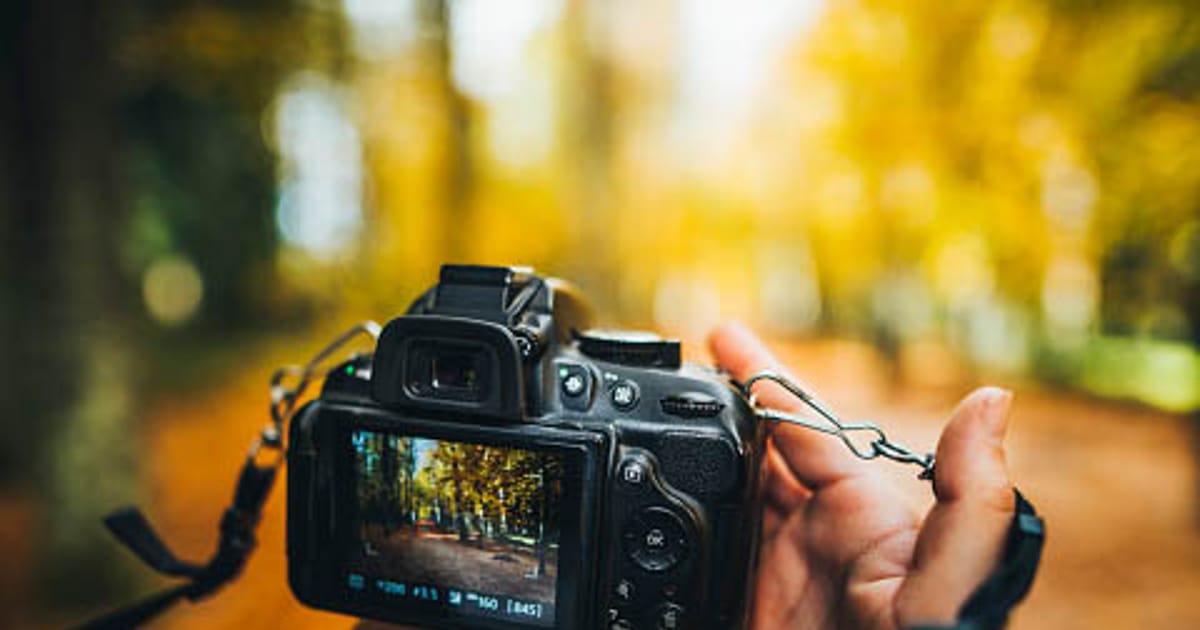 Carmen Polanco - Newark, New Jersey | about.me